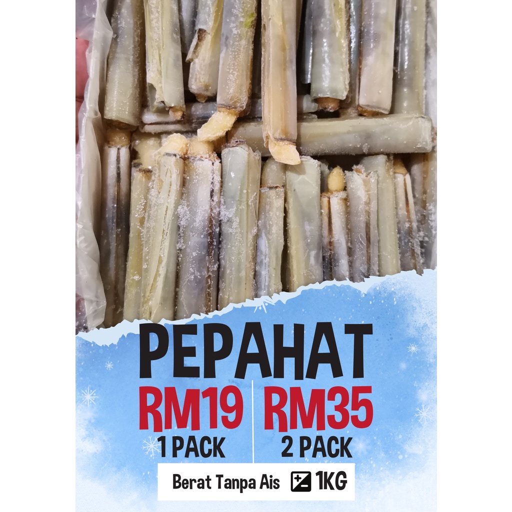 Pepahat / Bamboo Clam (penghantaran Semenanjung Malaysia) | Shopee Malaysia