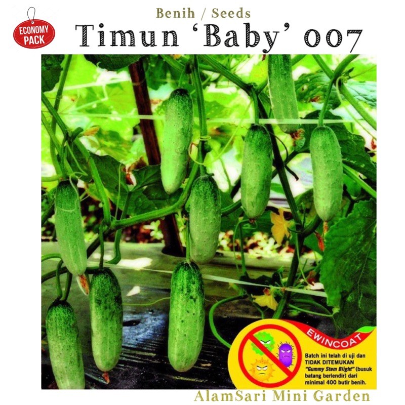 Biji Benih Timun Baby : Timun ‘Baby’ @ Timun Mini 007 (repack : 12 ...