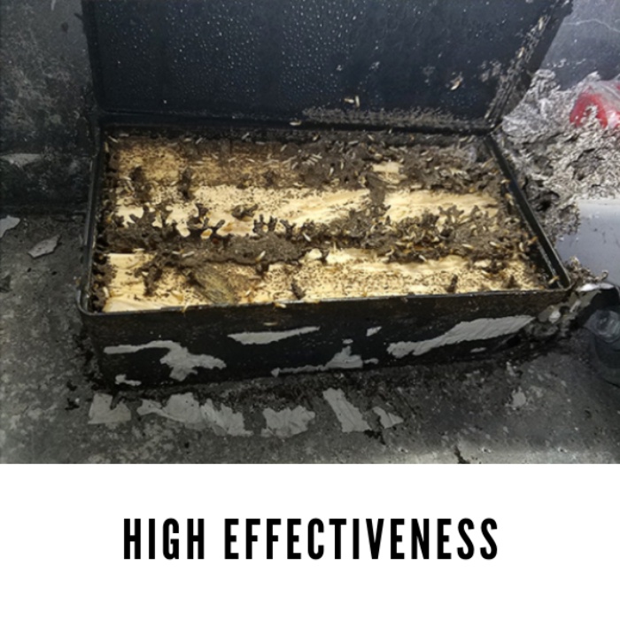 Kotak Umpan Anai-anai Kayu Indoor Termite Bait Box Wood Trap Termite ...