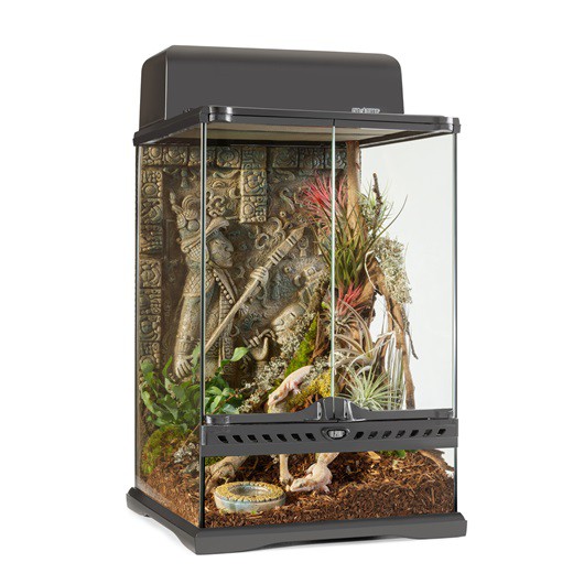 Exo Terra Aztec Glass Terrarium Mini Tall 30x30x45cm PT2591 Reptile ...