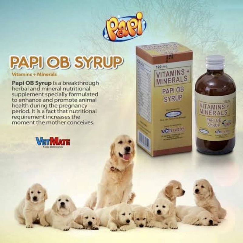 Papi OB Syrup 120ml (Pre & Postnatal Pet Supplement) - New packaging ...