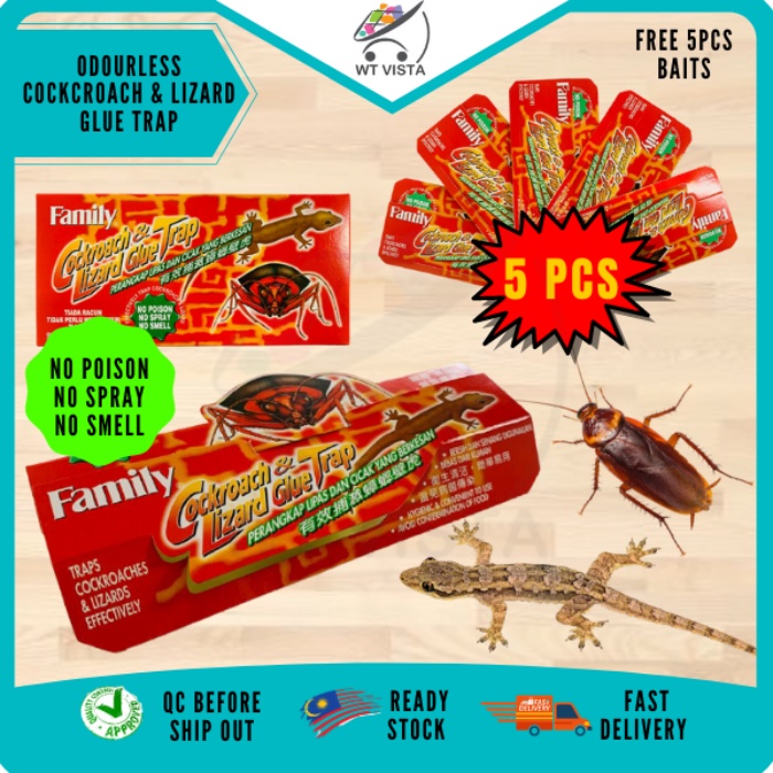 Family Lizard Glue Trap 5PCS Cockcroach Roach Bait Trap Trap Perangkap ...