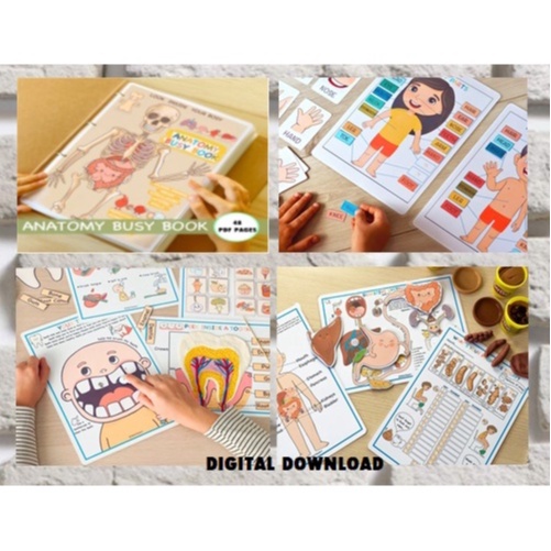 A11 Human Body Anatomy Busy Book (PDF) Kindergarten Learning Binder ...