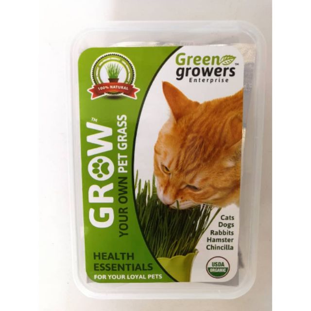 Grow Your Own Pet Grass) Grass Self Grow Kit) | Shopee Malaysia
