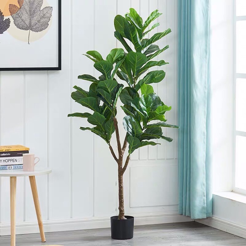 HIGH QUALITY Artificial Fiddle Fig Tree Ficus Lyrata Pokok Hiasan Viral ...