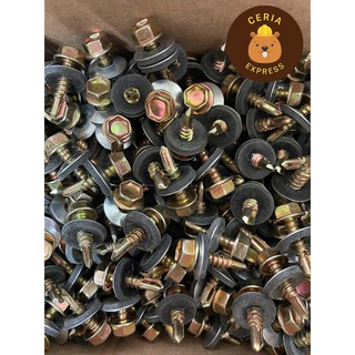 [50pcs] (IRON) (BESI) Self Drilling Hex Head Roofing Awning Screw ...