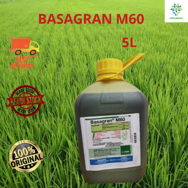 5Liter BASAGRAN M60/Bentazone 37%/RacunRumput/Rumpai/Herbicide | Shopee ...