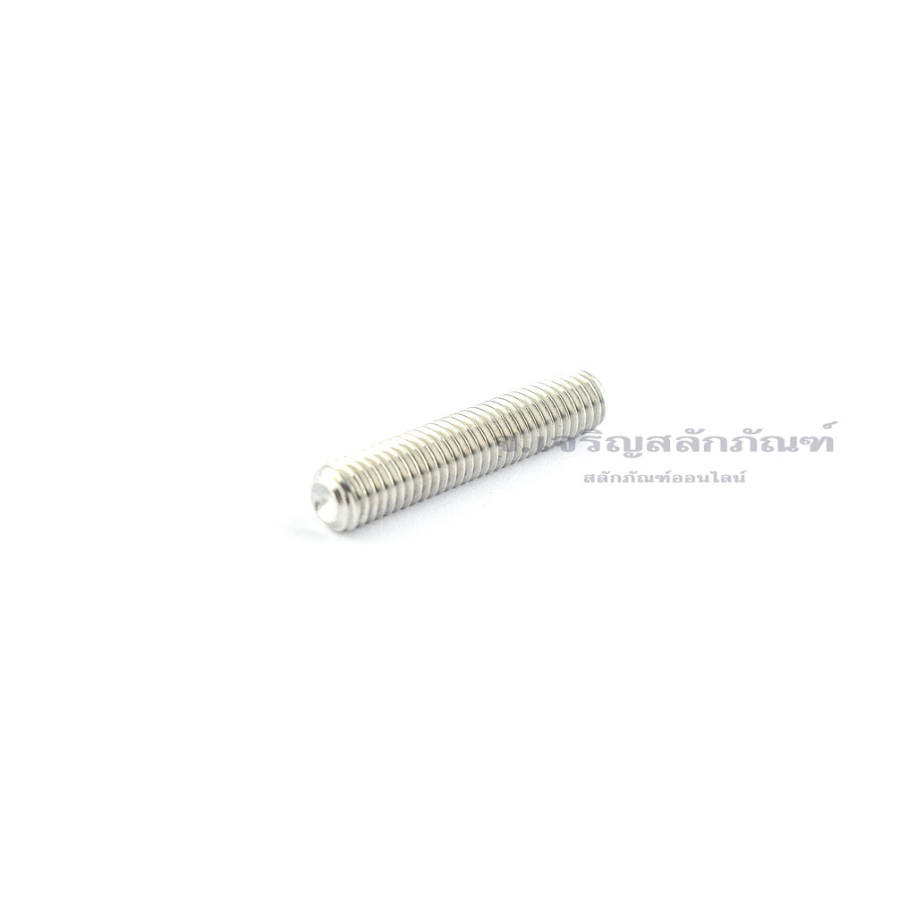 Stainless Steel Worm Nut M10 Long 10 12 15 20 25 30 35 40 Cutter L ...