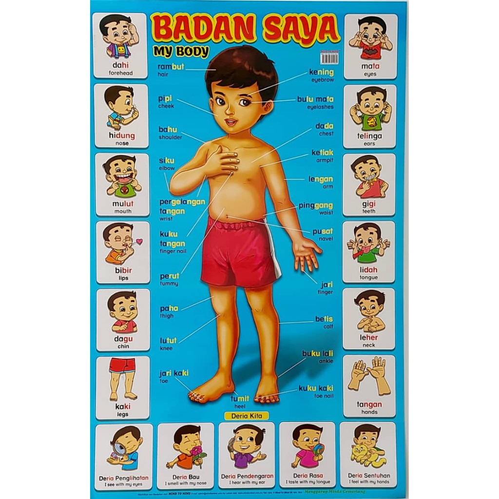 Poster Pendidikan BADAN SAYA | Shopee Malaysia