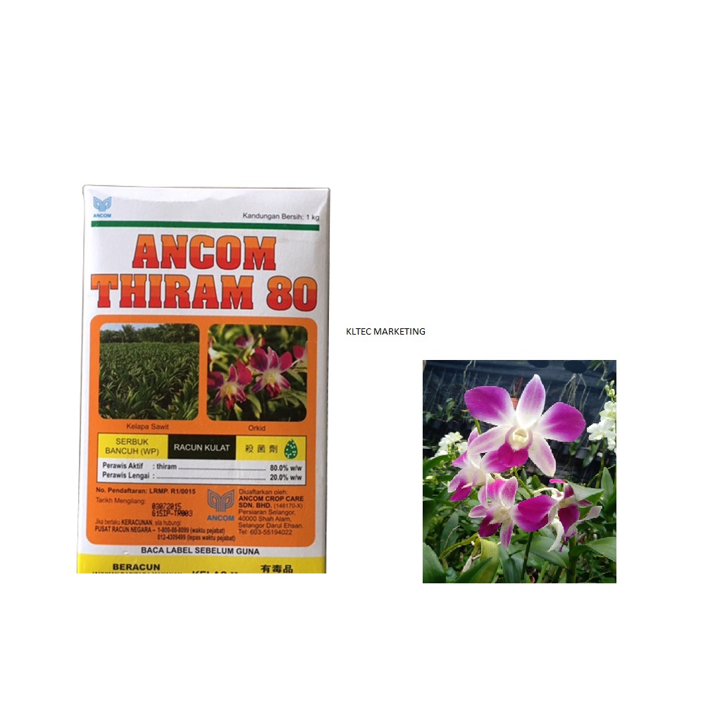 ANCOM THIRAM 80 Serbuk Racun Kulat / Fungicide / Thiram ...