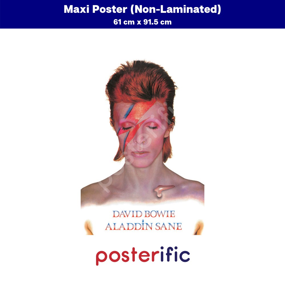 David Bowie (Aladdin Sane) - Poster (61 cm X 91.5 cm) | Shopee Malaysia