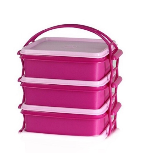 Tupperware Small Goody Box With Cariolier Pink Set - 1 set 3pcs ...