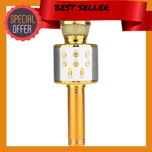 SAVE MONEY Portable BT Microphone Wireless Microphone Professional ...