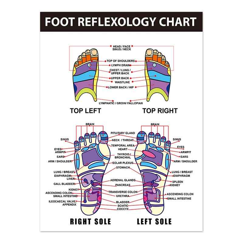 The Body Structure Foot Reflex Massage Canvas Painting Foot acupuncture ...