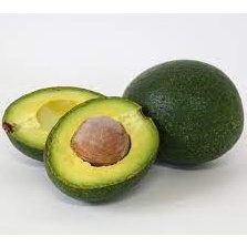 POKOK AVOCADO BOOTH 7 HYBRID MUDAH BERBUAH CUACA BIASA | Shopee Malaysia