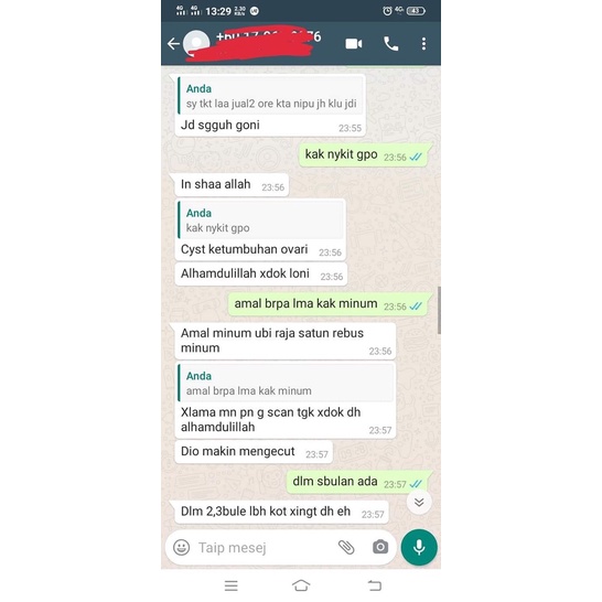 UBI RAJA SATONG PANJANG | Shopee Malaysia