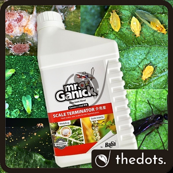1 Litre Concentrate Baba Mr Ganick Scale Terminator Organic Pesticide ...