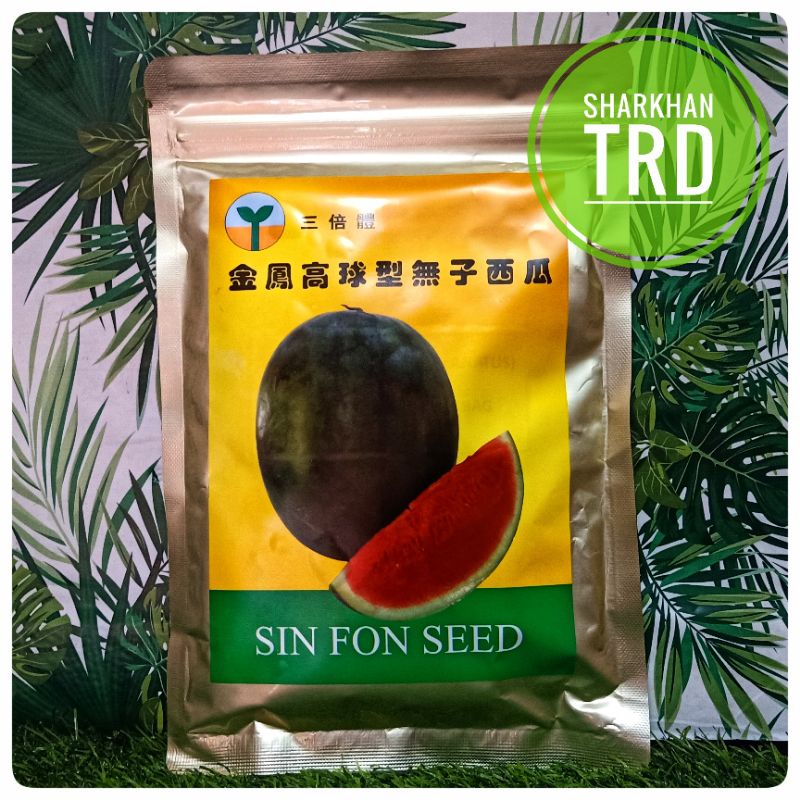 Paket 200g (3000 Biji/Seeds) SIN FON SEED Biji Benih Tembikai Boci Madu ...