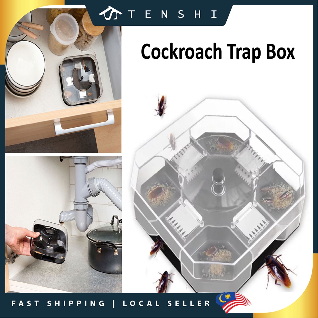 Cockroach Trap Box Non-Toxic Insert Killer Catcher Cockroach Box ...
