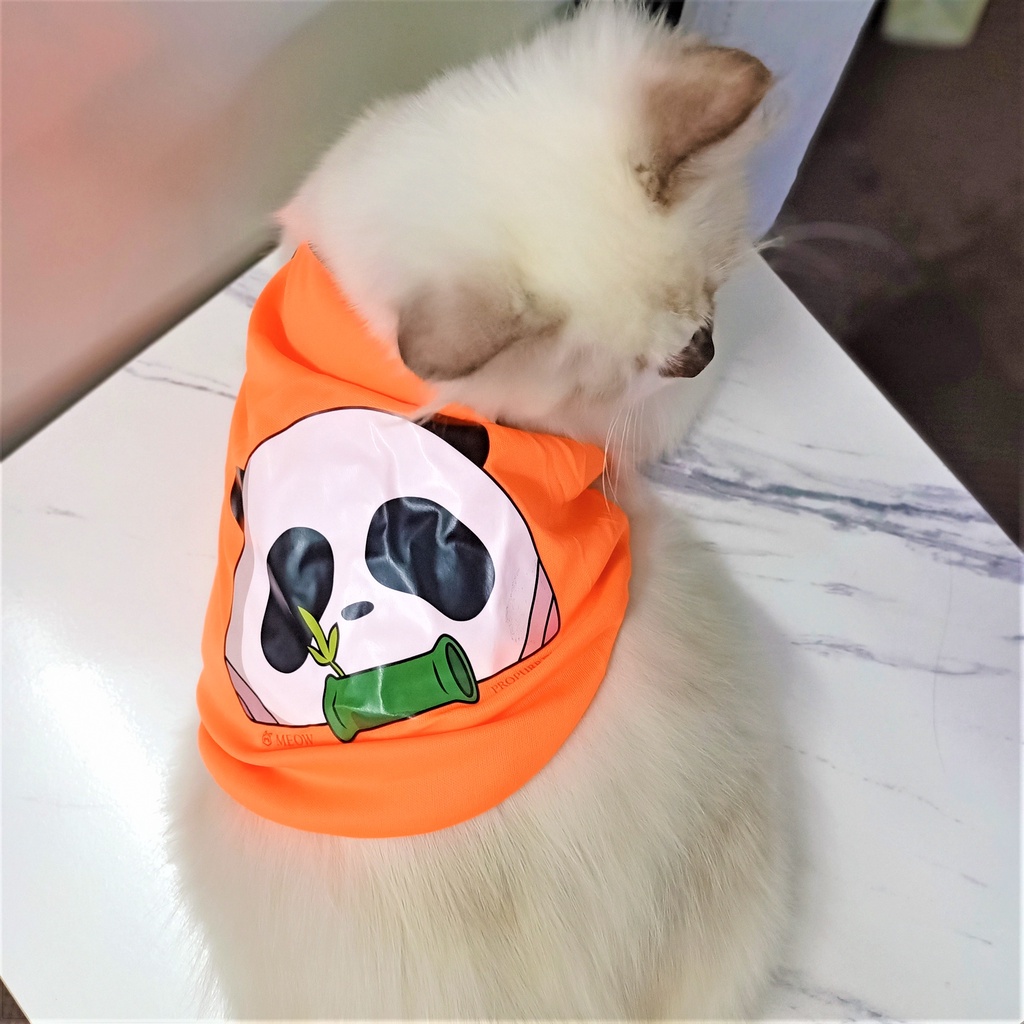 Pet Clothes Baju Anak Kucing Betina Jantan Murah Comel Pakaian Haiwan ...