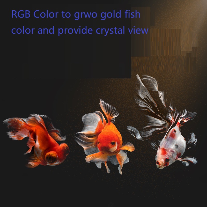 Jiyin Blade S Gold Fish Grow Algae RGB Professional Aluminium Aquarium ...