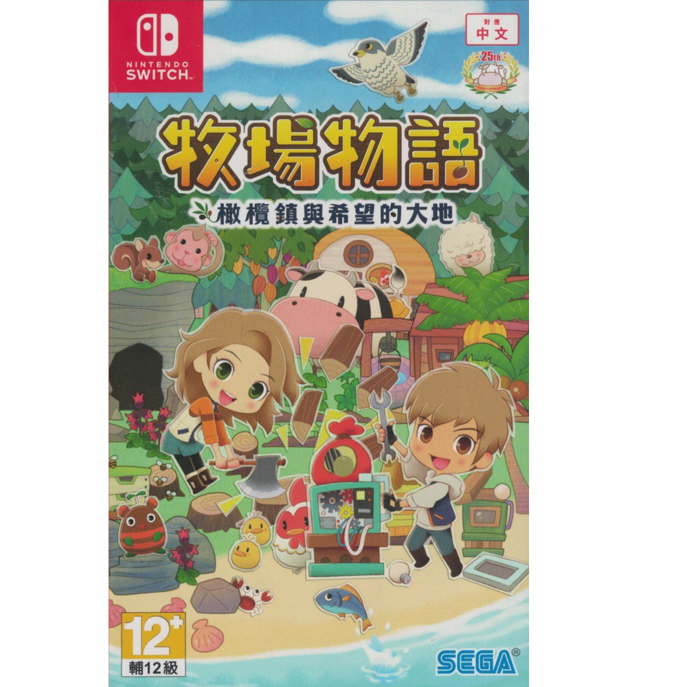 Switch Asian Chinese Version | Shopee Malaysia