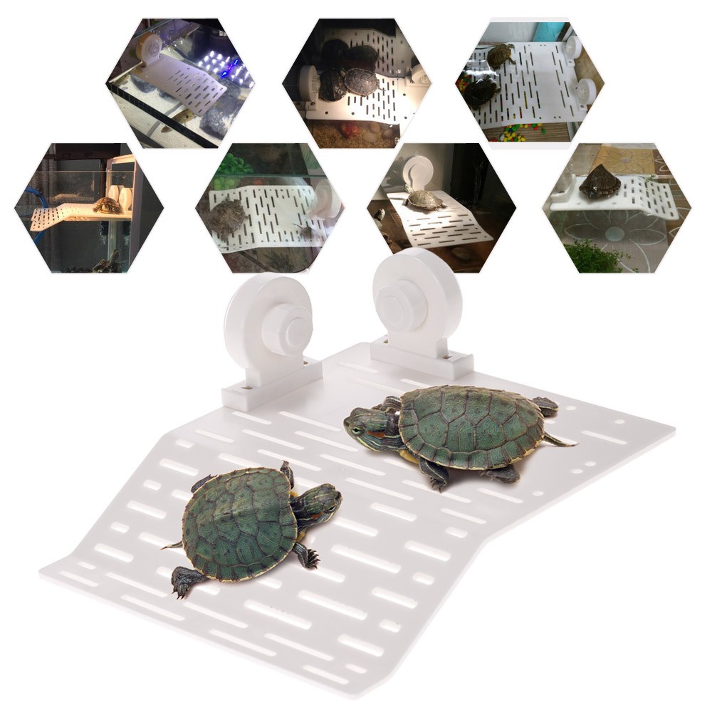 Aquarium Turtle Basking Platform Dock Floating Amphibian Turtle Pier ...