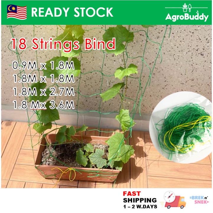AgroBuddy Jaring Panjat Jaring Kebun Sayur Bunga | Garden Nylon ...