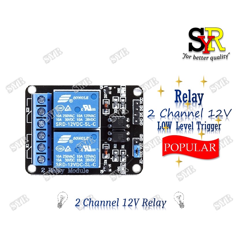 2 Channel 12V Relay with Optocoupler Module Low Level Trigger mdl ...
