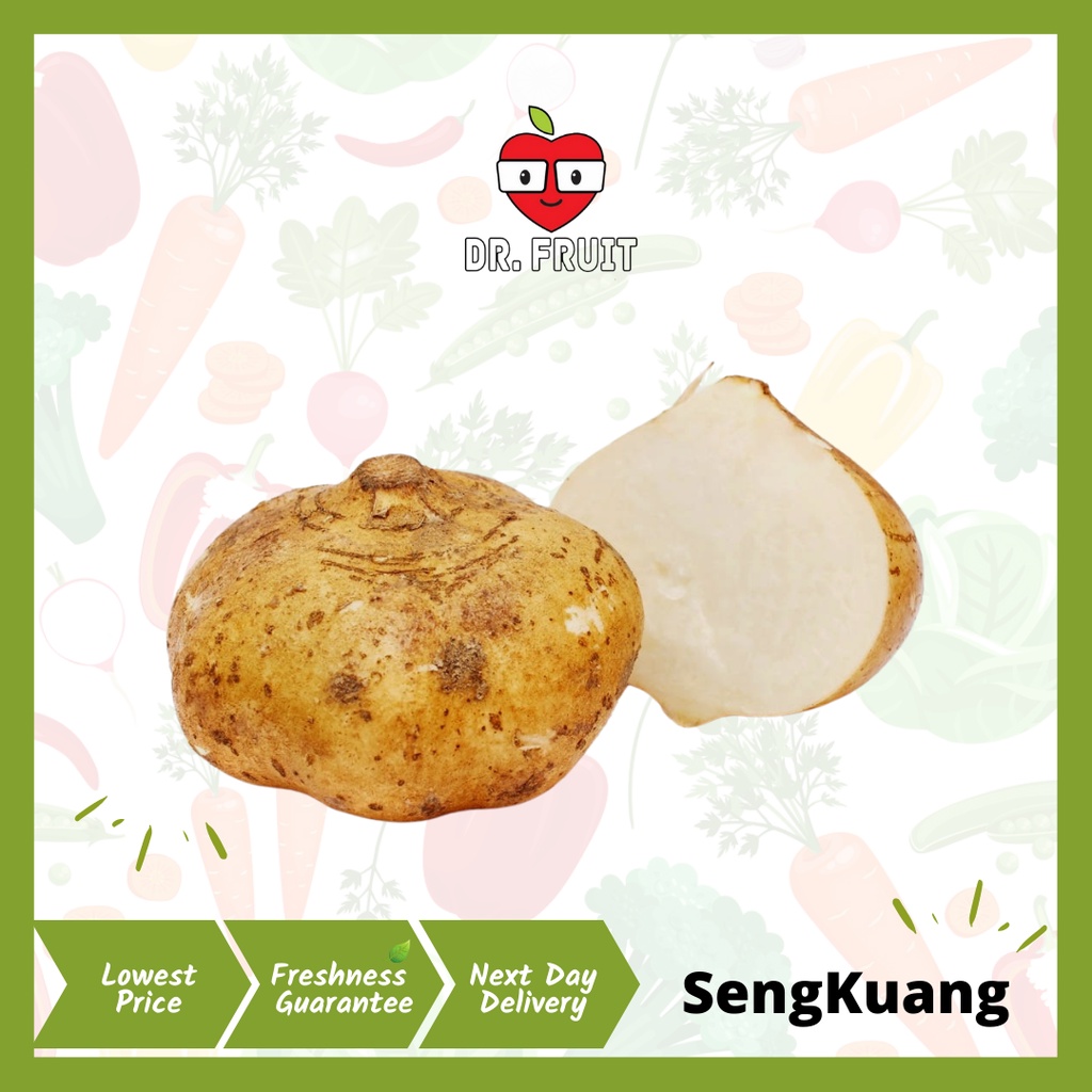 SengKuang (1.1g-1.6kg) 沙葛/凉薯 | Dr.fruit /Jicama/Yam Bean | Shopee Malaysia