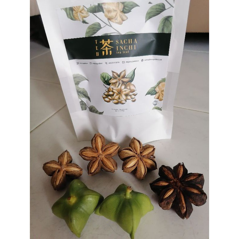 Sacha Inchi Leaf Tea 3gx20 teabags | Shopee Malaysia