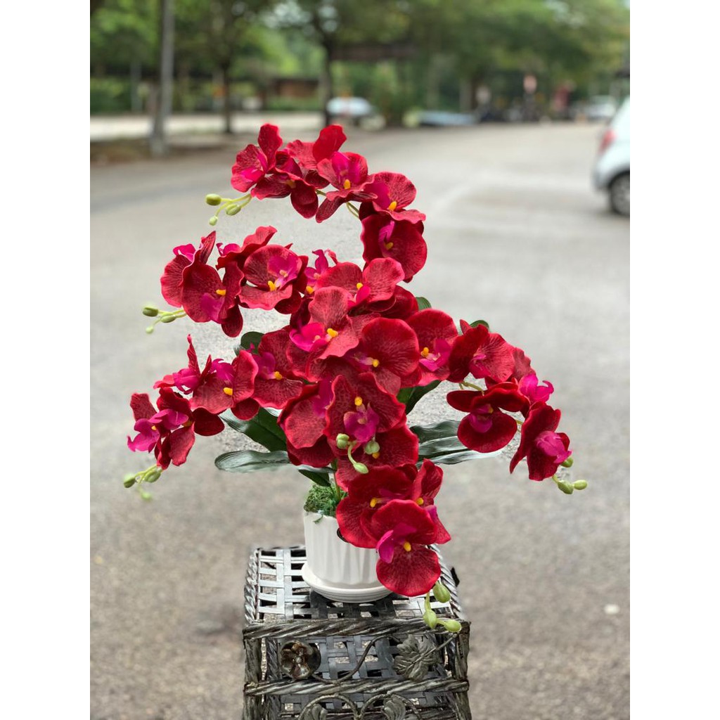 Ready stock orchid siap gubah 6t bunga orkid hiasan bunga bajet bunga ...