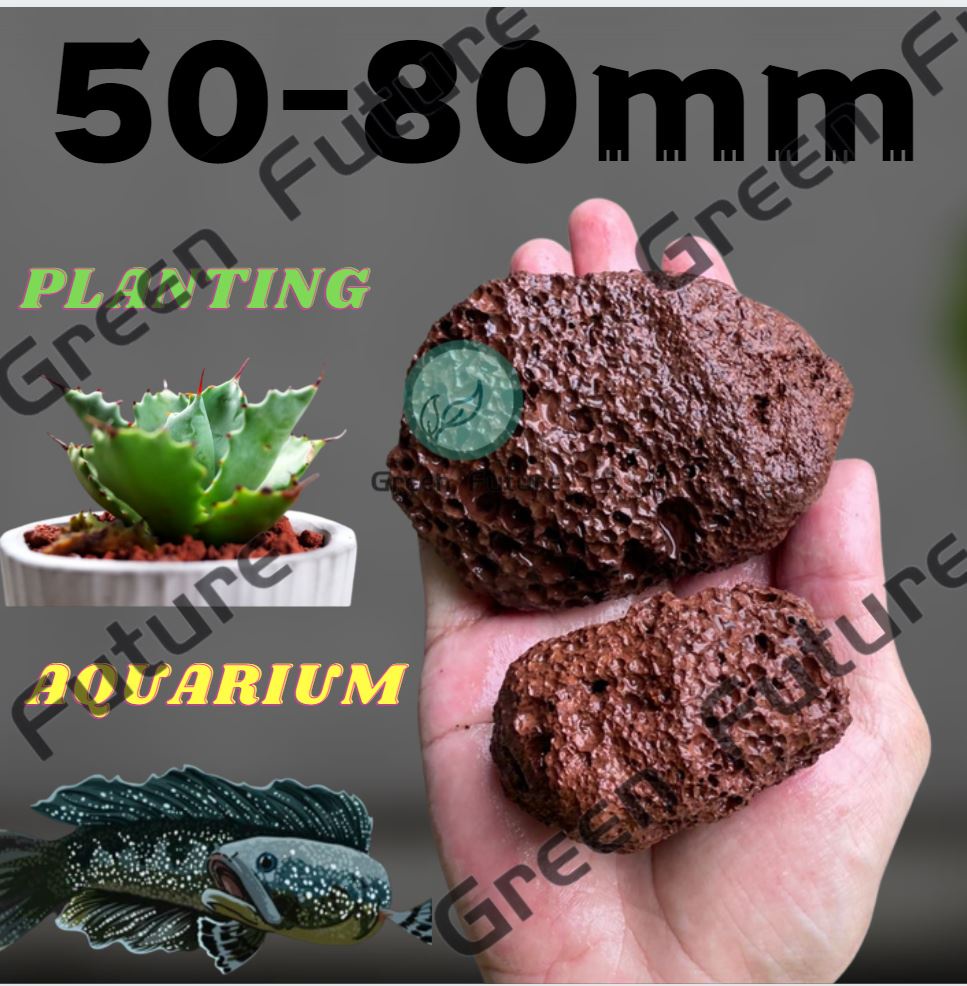 24KG Red Lava Rock Volcanic Stone 红色火山石 火山石 3~6mm PASIR MALANG MERAH ...