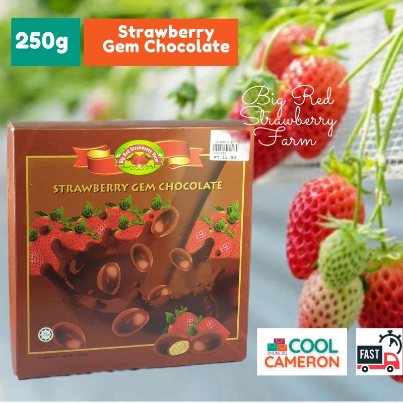 COKLAT CHOCOLATE STRAWBERRY GEM FROM BIG RED STRAWBERRY CAMERON ...