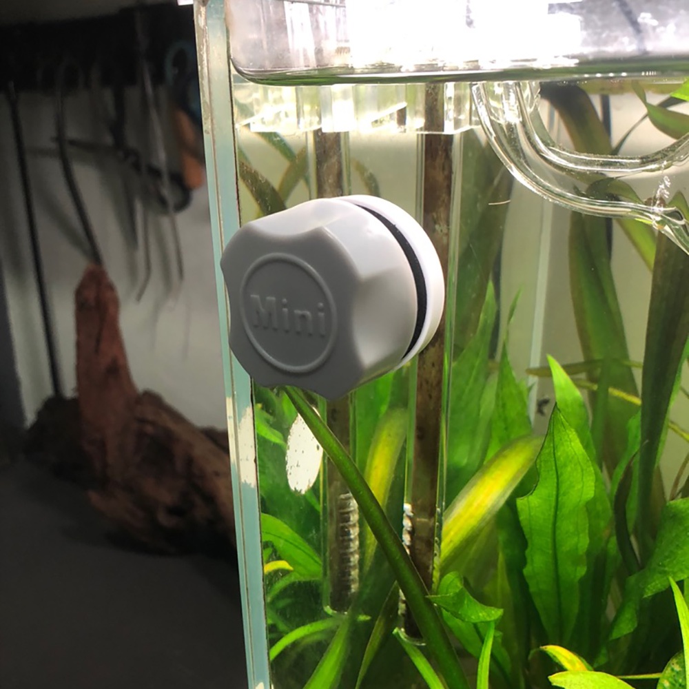 Mini Magnetic Brush Aquarium Algae Scraper Tank Brush alga | Shopee ...