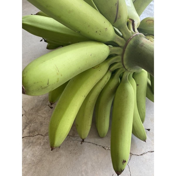 Buah Pisang Raja Talun (adik-beradik Pisang Tanduk) | Shopee Malaysia