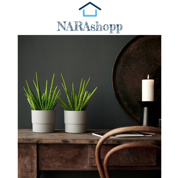 IKEA'S NYPON Plant Pot, in/outdoor Grey / Pasu Bunga 9/12cm (POT ONLY ...