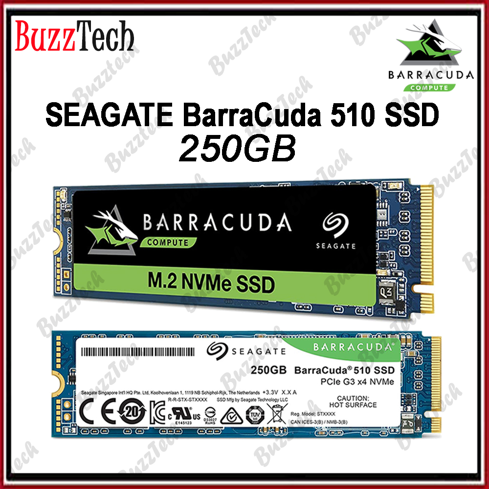 BuzzTech Seagate SSD M.2 NVMe 250GB Barracuda 510 Internal Solid State ...