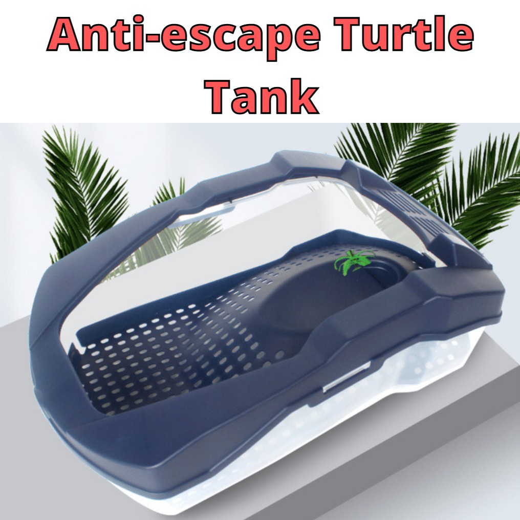Sangkar Kura-Kura Anti-Escape Reptile Turtle Tortoise Vivarium Box ...