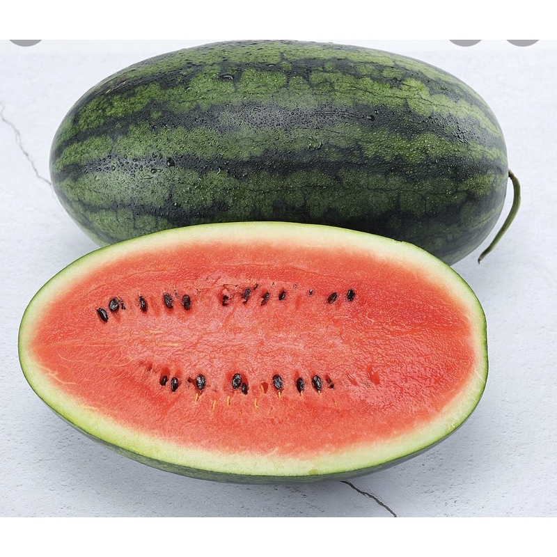 Taiwan Watermelon 3 seeds 台湾西瓜3粒种子 tembikai seed 3 biji | Shopee Malaysia