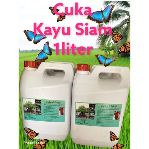 5lit. / Cuka Kayu Siam Asli / Thailand Cuka Kayu / Racun Serangga ...