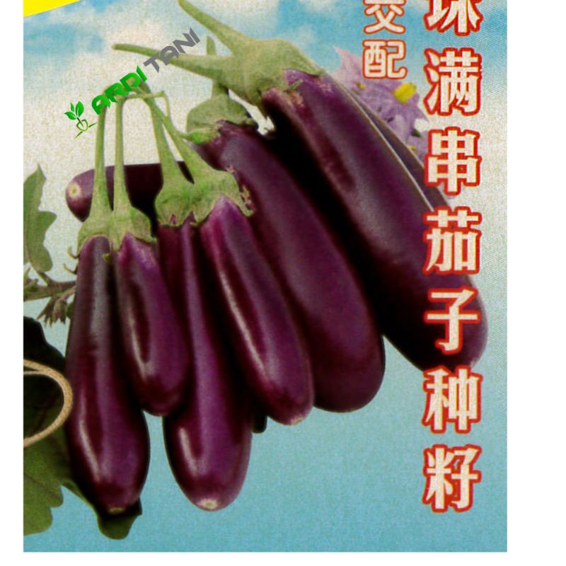 Benih Terung Mutiara Jambak | Shopee Malaysia