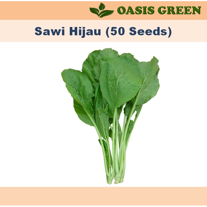 Biji Benih / Vegetable Seed /FLOWER SEEDS /SAYUR/BUNGA/BUAH BENDI ...