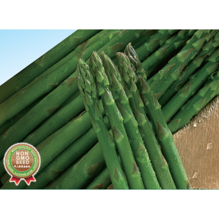 Benih Asparagus Hasil Tinggi/ Asparagus Seeds F1 Hybrid High Rise ...