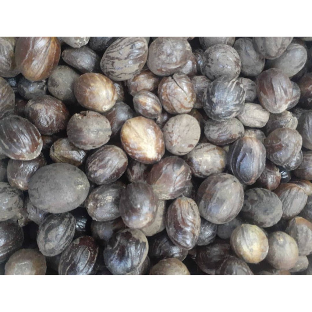 BUAH PALA/PELAGA HITAM/PELAGA HIJAU/ BUAH KERANDA *Berat 100g | Shopee ...