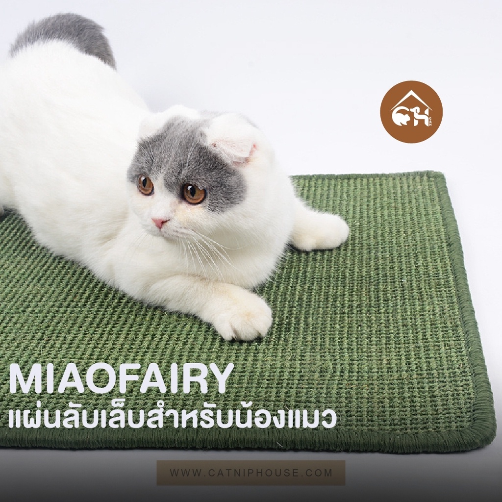 Miaofairy Carpet For Pet Scratching Cat Toy (Mixed Colors) | Shopee Malaysia
