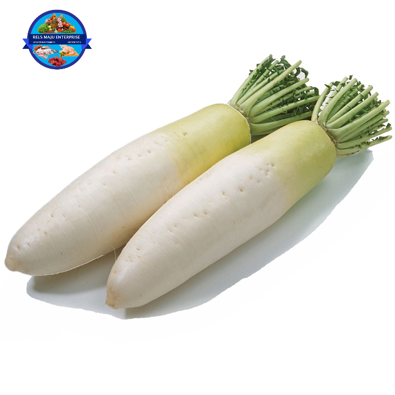LOBAK PUTIH KAMPUNG / VILLAGE WHITE RADISH (450G - 500G) | Shopee Malaysia