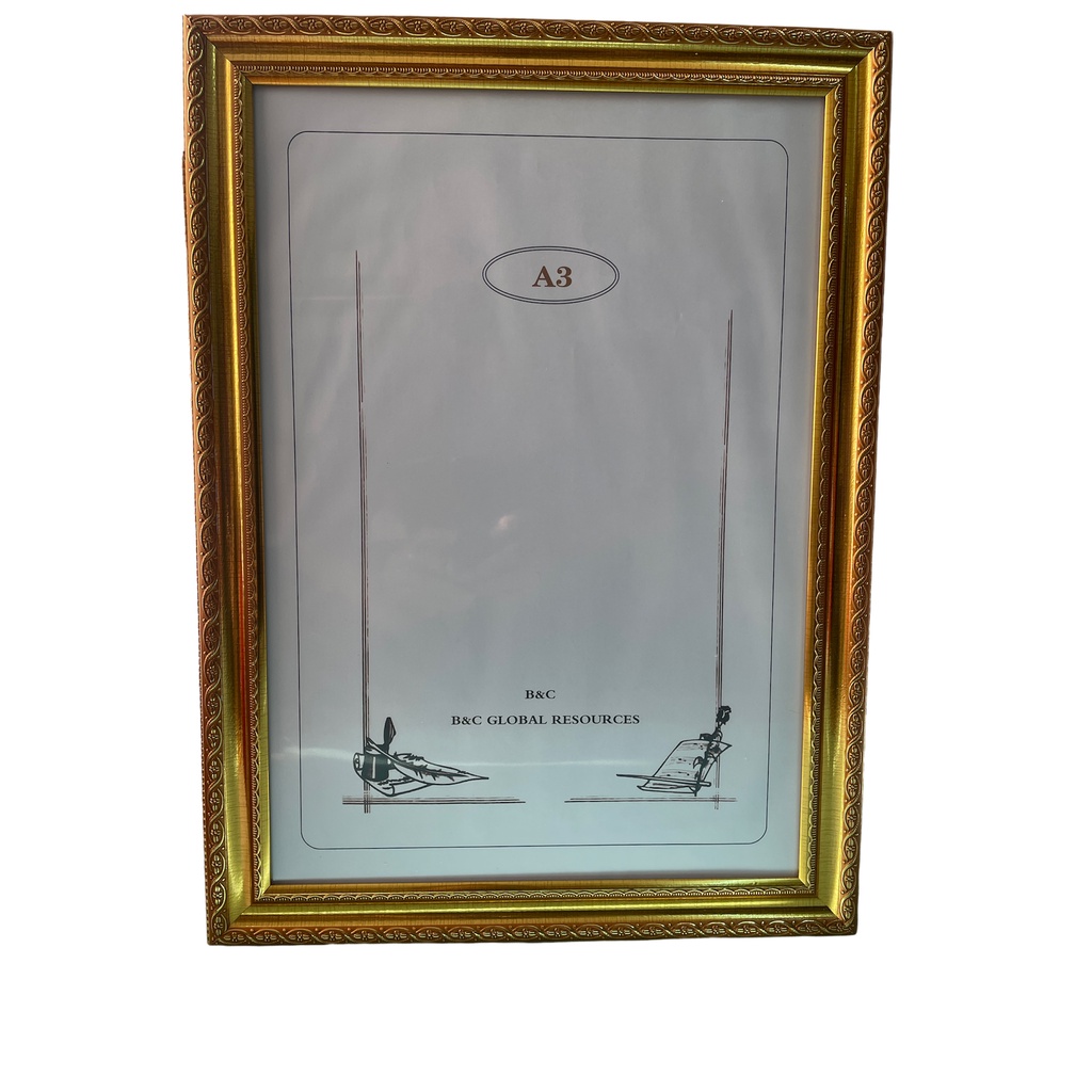 Photo Frame Size A4/11R/12R/A3 - Gold Color(1pc) | Shopee Malaysia