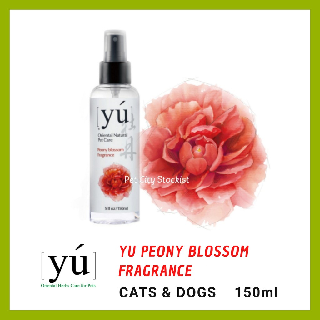 Yu Shampoo 400ml & Yu Dry Cleaning Fragrance Spray 150ml Long Lasting ...