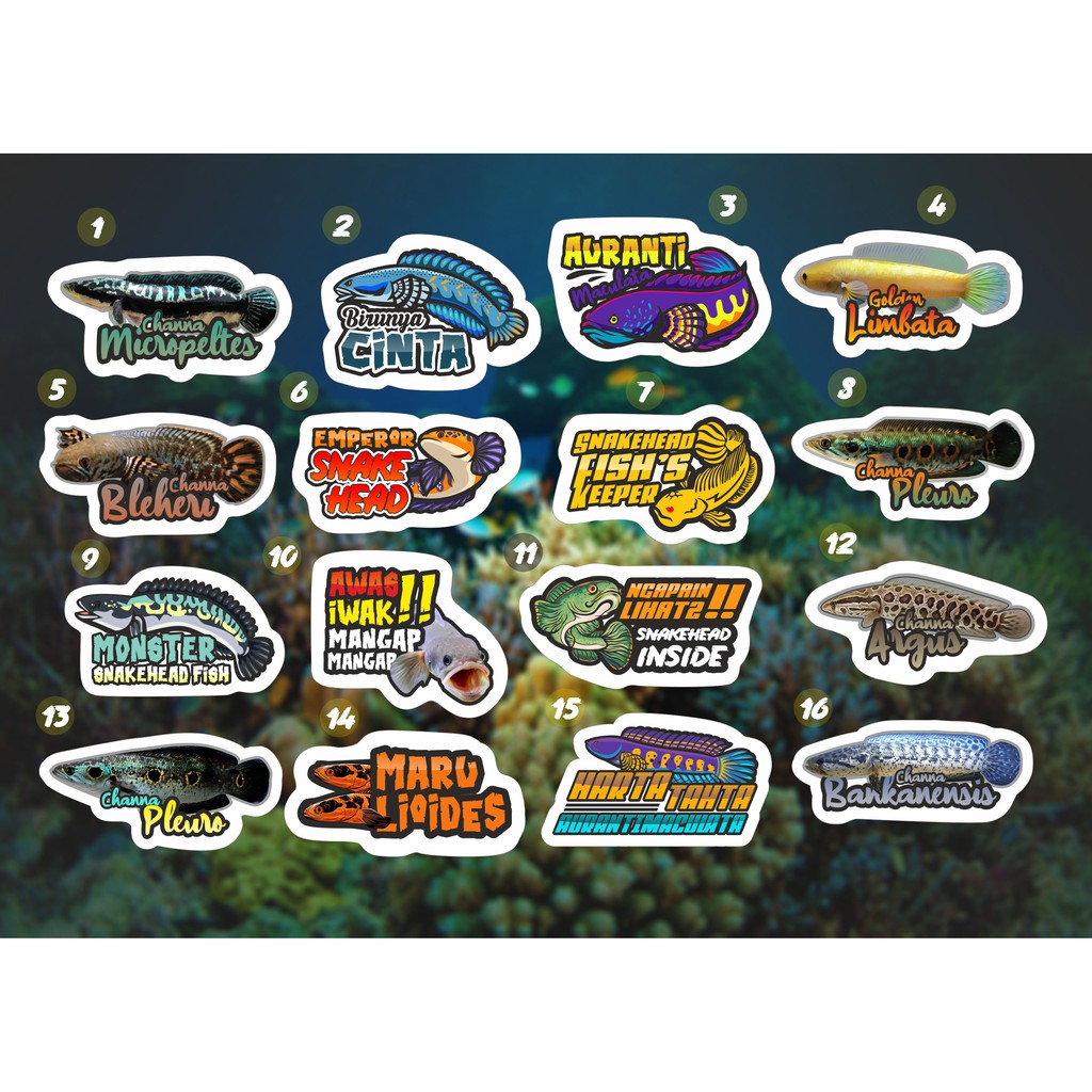Sticker Stickers for Channa Snakehead Aquarium (Most Complete) Vol. 2 ...